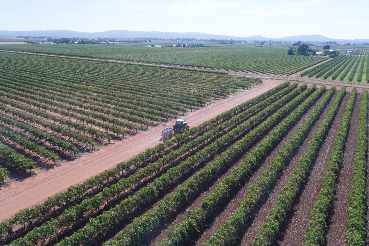 Discover our Story | Yarran Wines